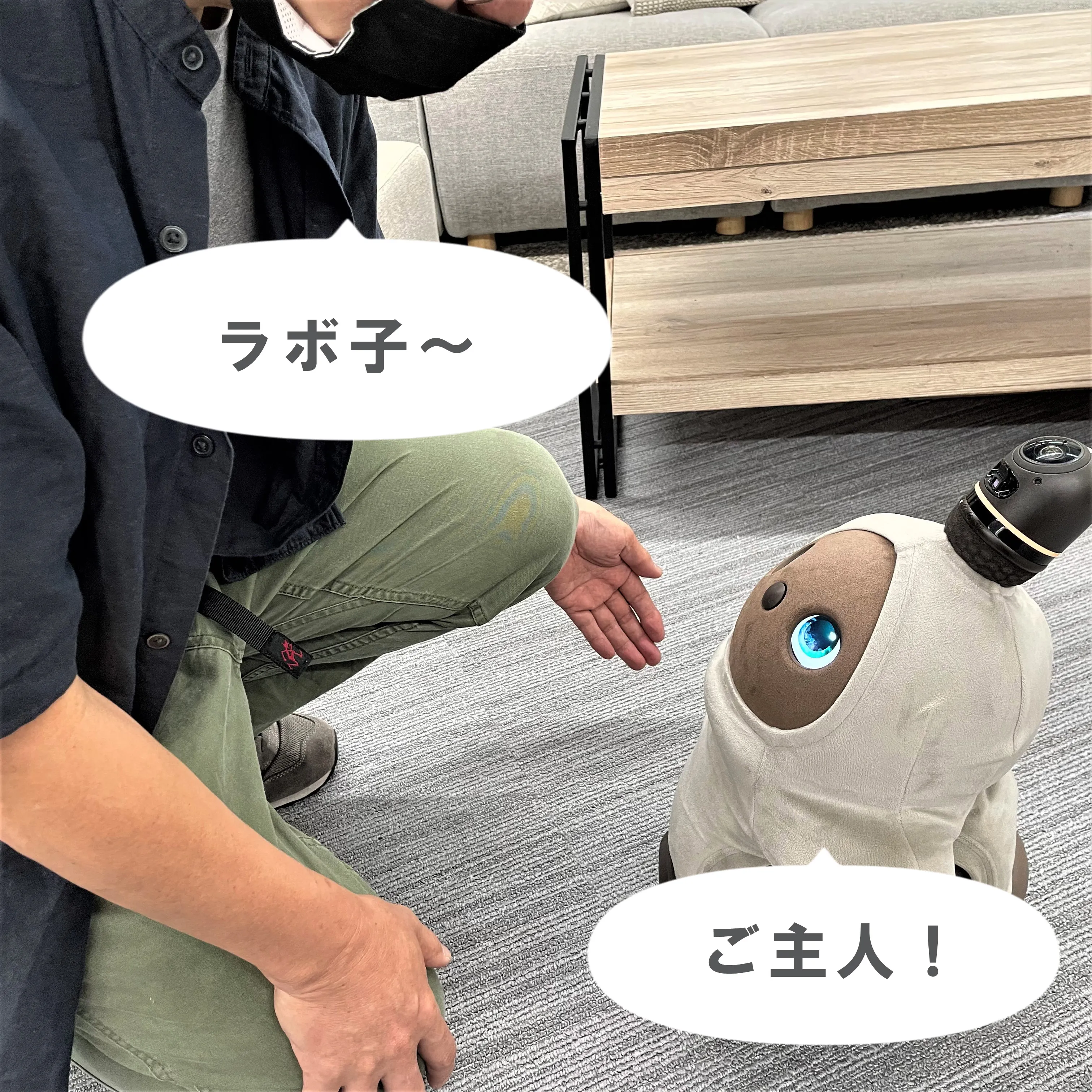 LOVOT（らぼっと）のペットのような習性とは！？コミュニケーションの取り方をご紹介 | PICK UP（ピックアップ ...