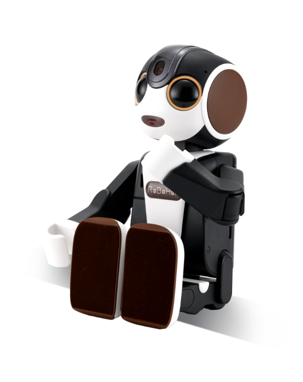 体験ステップ | RobotPlanet（ロボットプラネット）