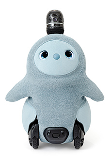 LOVOT3.0 （らぼっと3.0） | RobotPlanet（ロボットプラネット）