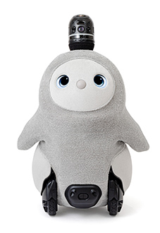 LOVOT3.0 （らぼっと3.0） | RobotPlanet（ロボットプラネット）