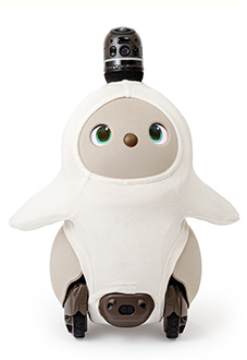 LOVOT3.0 （らぼっと3.0） | RobotPlanet（ロボットプラネット）