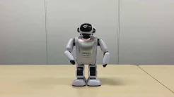 PALRO （パルロ） | RobotPlanet（ロボットプラネット）