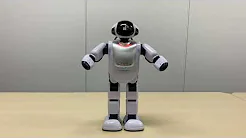 PALRO （パルロ） | RobotPlanet（ロボットプラネット）