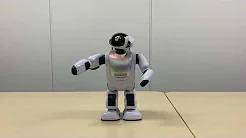 PALRO （パルロ） | RobotPlanet（ロボットプラネット）