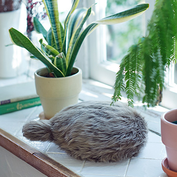 Qoobo （クーボ） | RobotPlanet（ロボットプラネット）