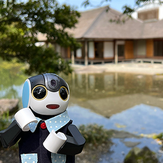 RoBoHoN弟モデル （ロボホン弟モデル） | RobotPlanet（ロボットプラネット）