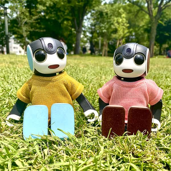 RoBoHoN （ロボホン） | RobotPlanet（ロボットプラネット）