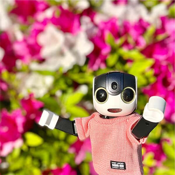 RoBoHoN （ロボホン） | RobotPlanet（ロボットプラネット）